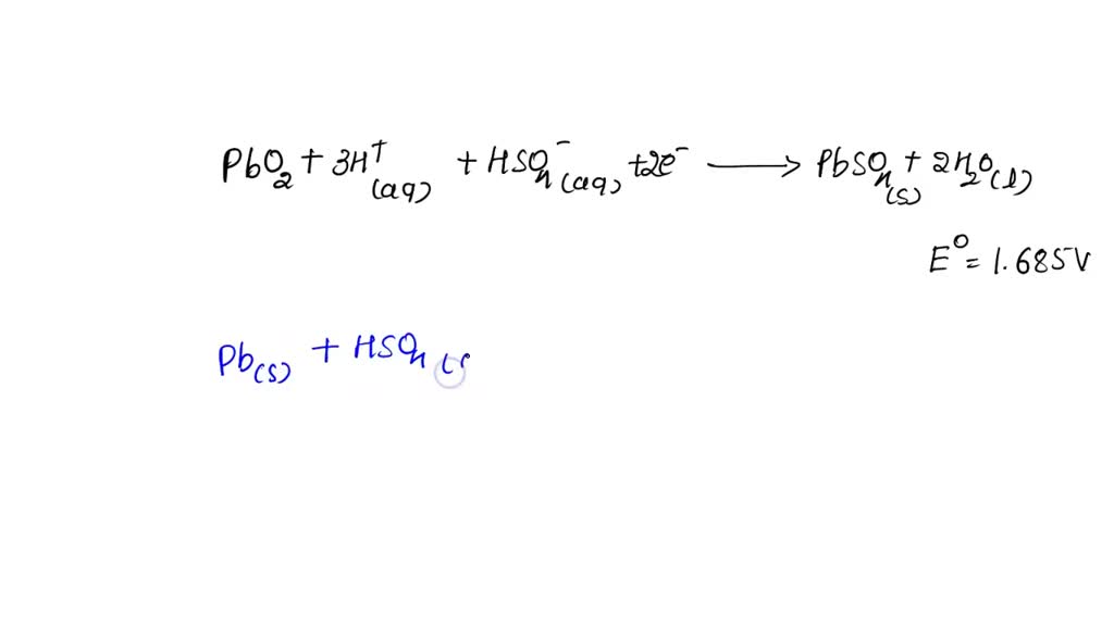 SOLVED: Case Study Questions Identify which half reaction urdergoes ...