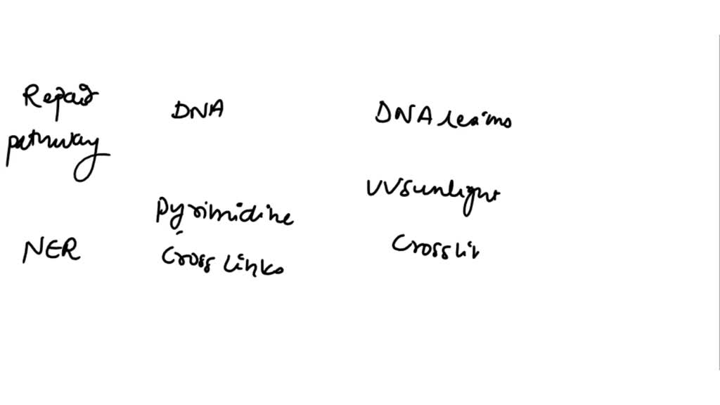 SOLVED: Study TABLE: DNA Damage Repair Pathways Mismatch Repair (MMR ...