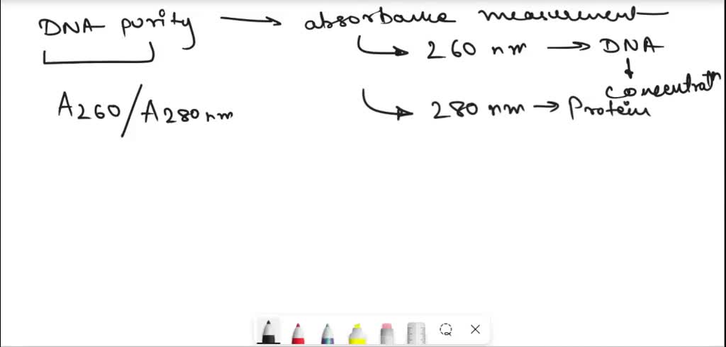 SOLVED: A person is working with a DNA sample. The A260 is 0.12 and the ...