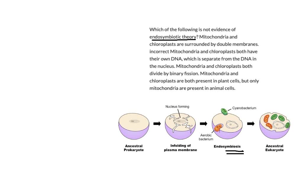 SOLVED: Which of the following is not evidence that supports ...