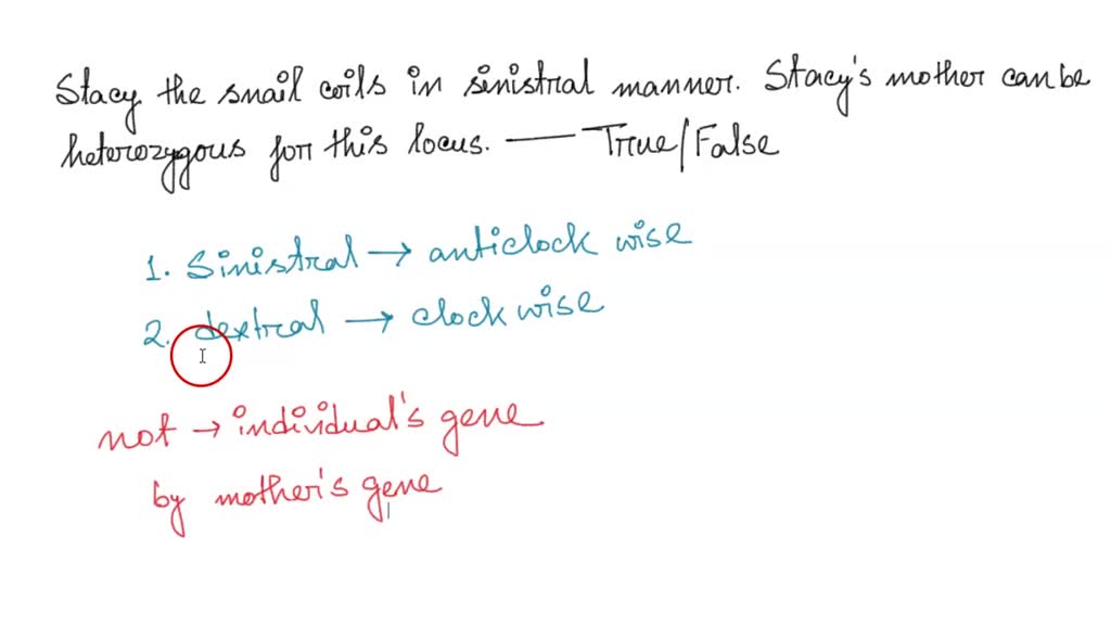 SOLVED: Refer to the class notes regarding the inheritance of the ...