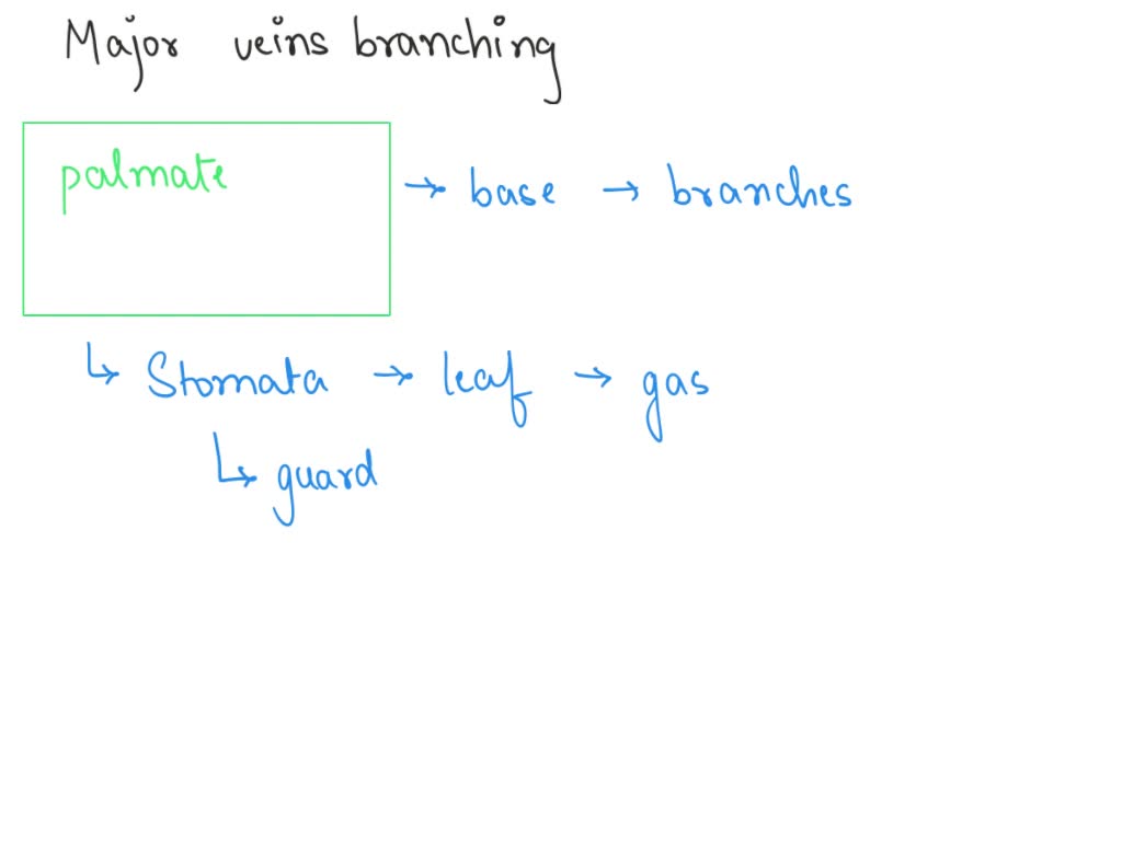 SOLVED: These types of leaves have several major veins branching from ...