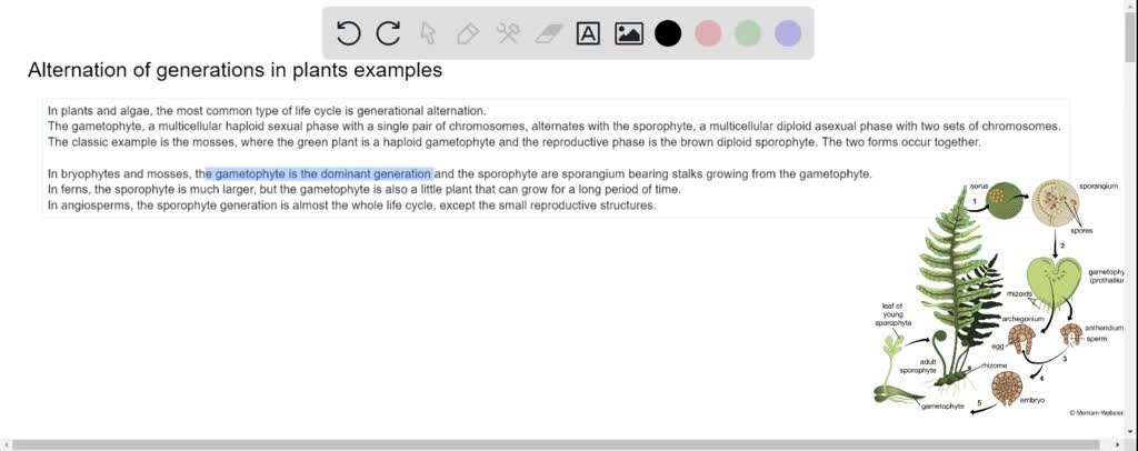 SOLVED: Alternation of generations in plants examples
