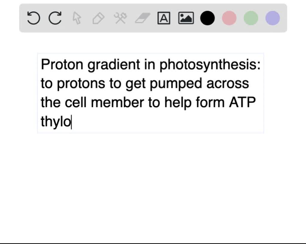 SOLVED: The establishment of the proton gradient is a very important ...