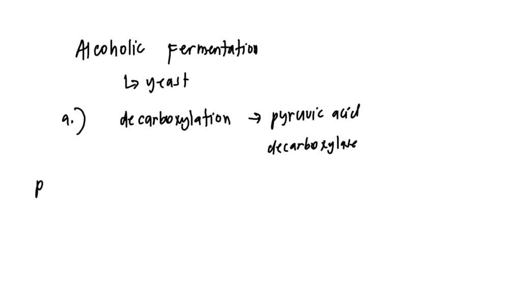 SOLVED: Draw the steps of ethanol fermentation below beginning with ...