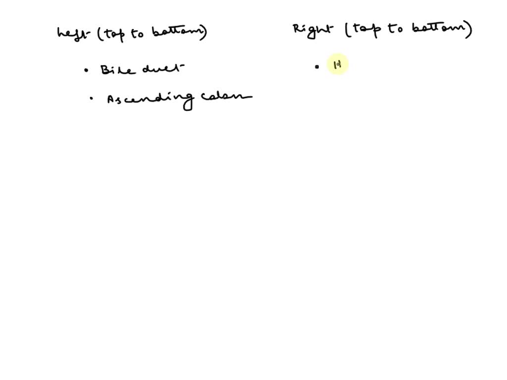 SOLVED: Drag the correct label to the appropriate location to identify ...