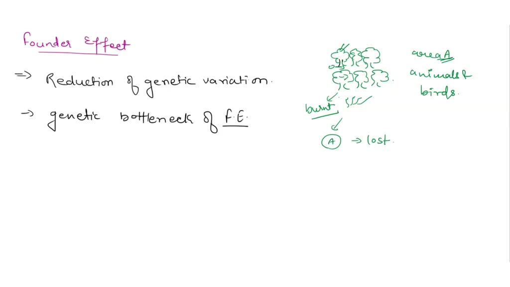 VIDEO solution: Describe a hypothetical scenario of founder effect for ...