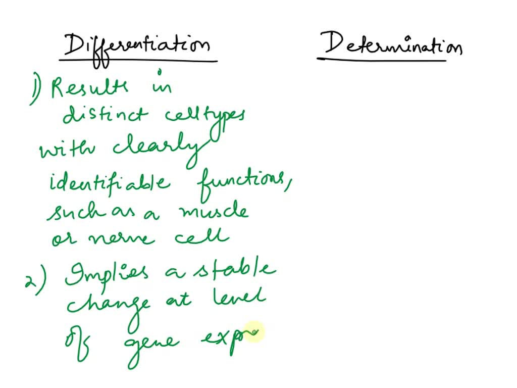 SOLVED: Describe the differences between differentiation and ...