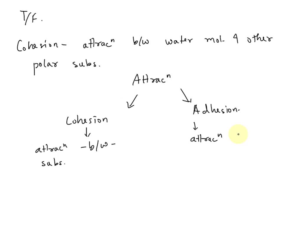 SOLVED: Water exhibits cohesion, adhesion, and polarity, but is not a ...