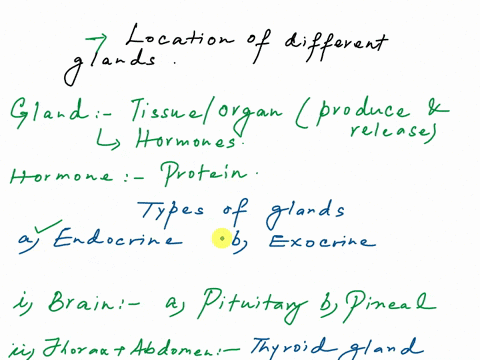 Label the major organs of the endocrine system by clicking...