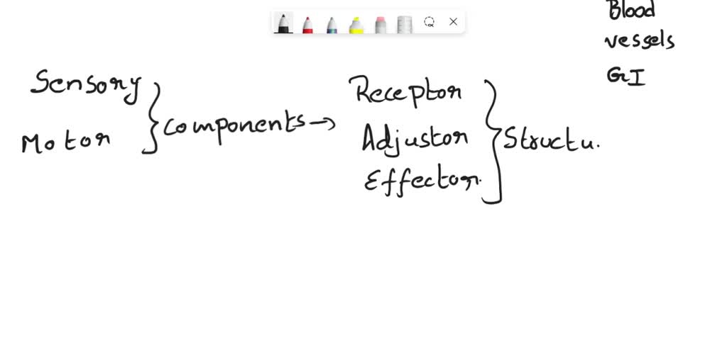 SOLVED: Step 7: Explain the relationship of visceral sensory neurons ...