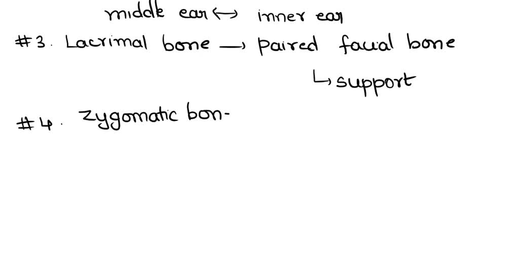 SOLVED: QUESTION 39 Identify the bones with their markings Frontal ...