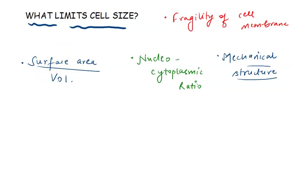 SOLVED: Why cant cells become too large? The fast growing interior of ...