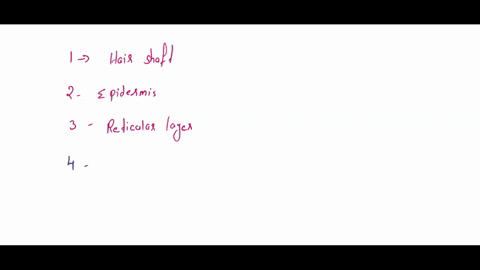 Exercise 8 Label and Color Pig Skin Color in this drawing of pig skin ...