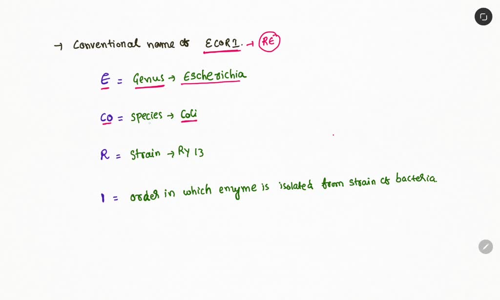 SOLVED: Write conventional nomenclature of EcoRI.