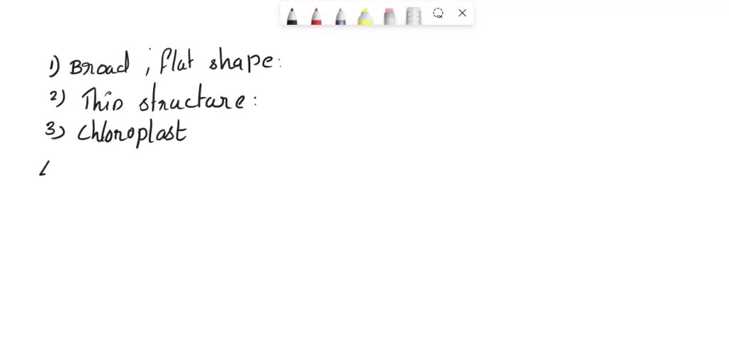 SOLVED How Is The Leaf Adapted For Photosynthesis solved-how-is-the-leaf-adapted-for-photosynthesis