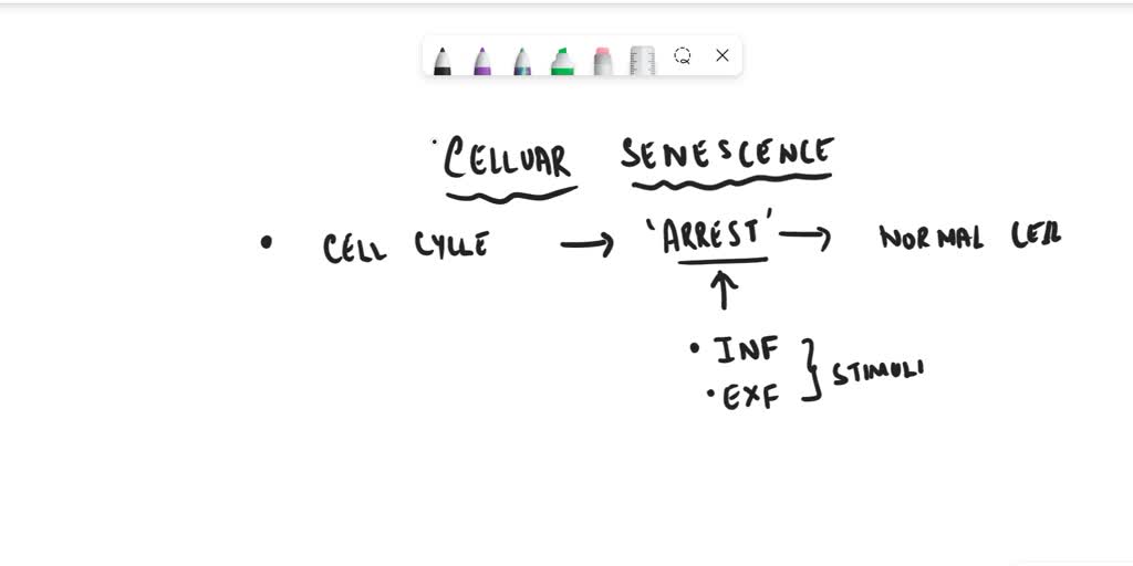 SOLVED: The cascade of wound healing occurs in this order: Group of ...