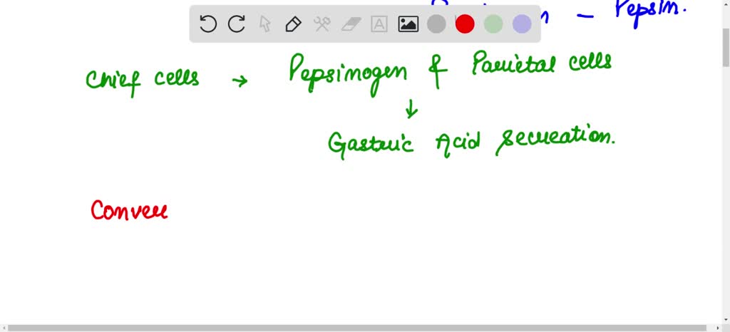 SOLVED: NUTRITION AND DIGESTION a) Relation between gastric juice, HCl ...