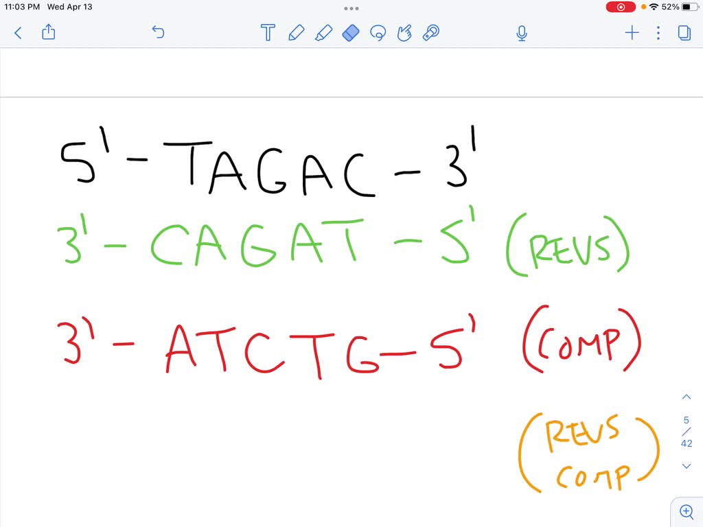 SOLVED: DNA is a double stranded molecule composed of complementary ...
