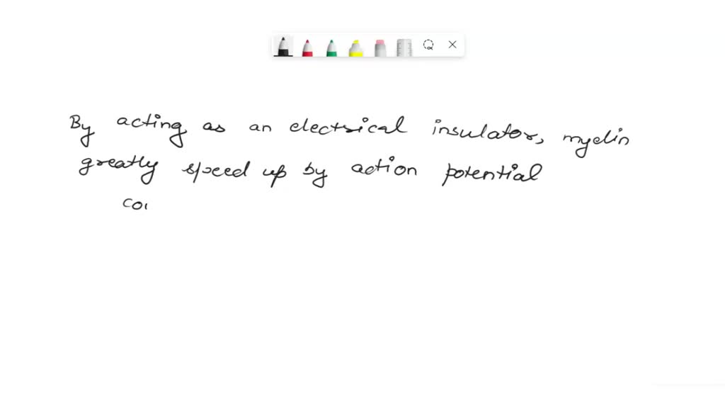 SOLVED: Explain how neuron diameter and degree of myelination affect ...