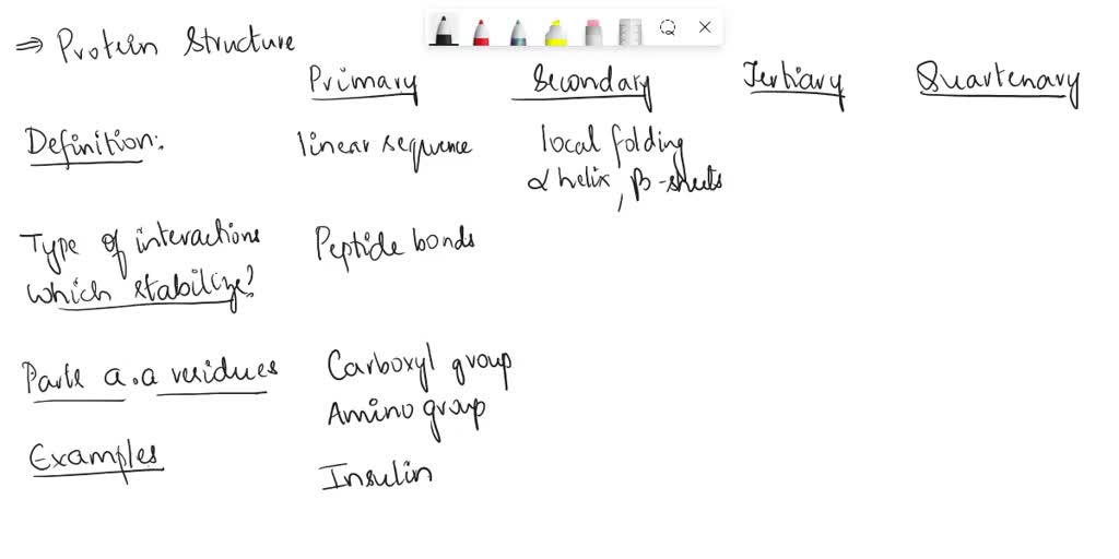 SOLVED: Organize the Levels of Protein Structure by completing table ...
