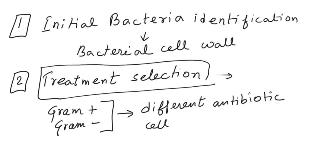 SOLVED: Microbiology Gram Staining Questions: 1. What are the uses or ...
