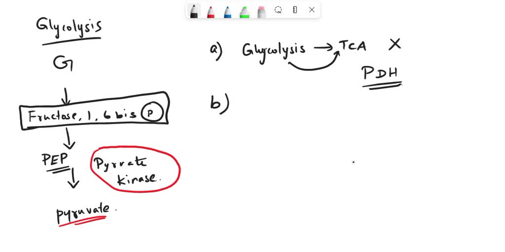 SOLVED: Pyruvate kinase activation by fructose 1,6 bisphosphate in ...