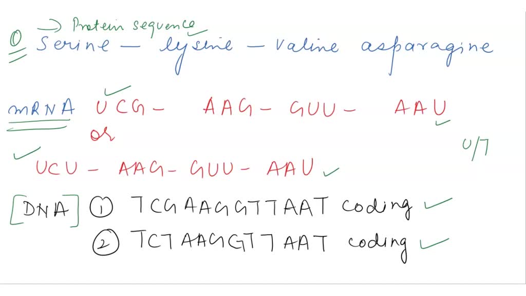 SOLVED: According to Table 1, if the sequence of amino acids encoded by ...