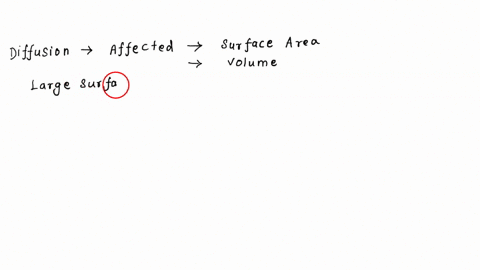 how did the surface area affect diffusion to the center of the cell ...