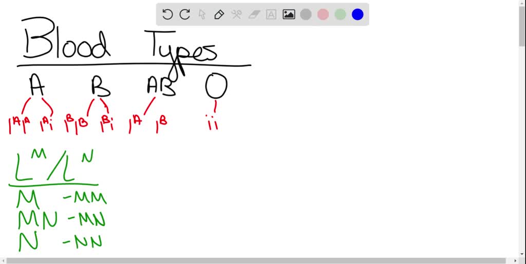 SOLVED: Distinguish between Rh-positive versus Rh-negative blood type ...