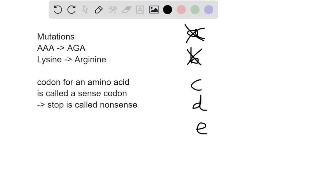 SOLVED: Which type of mutation is exemplified by this statement ...