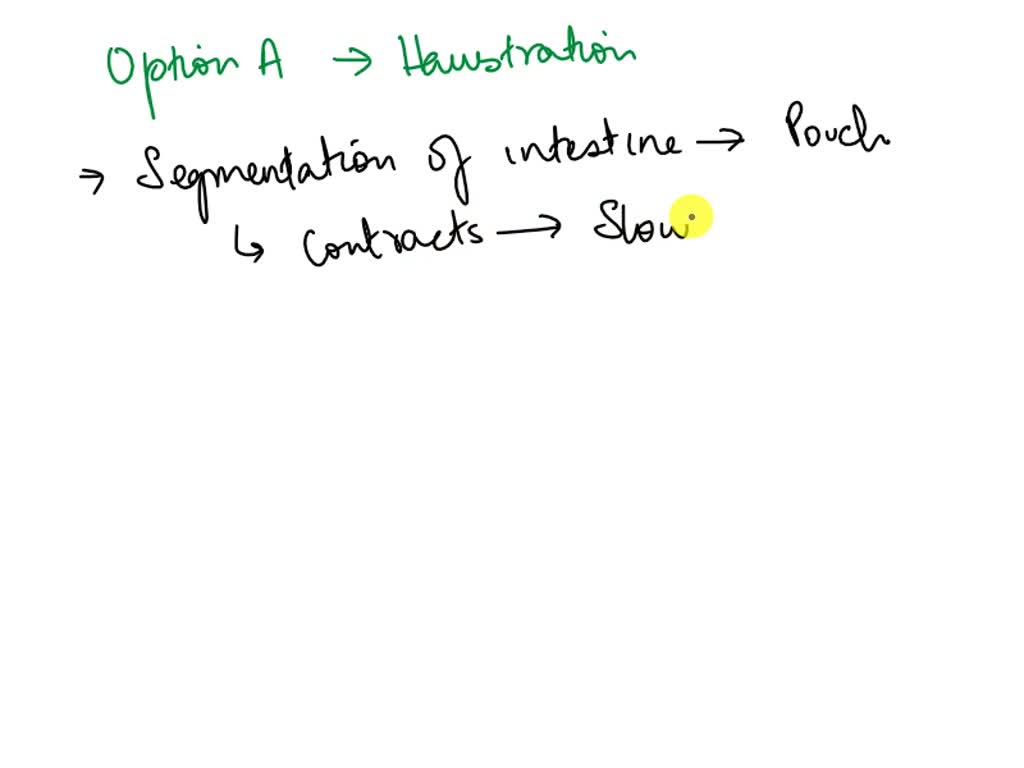 SOLVED: The smooth muscle layers of the small intestine create this ...