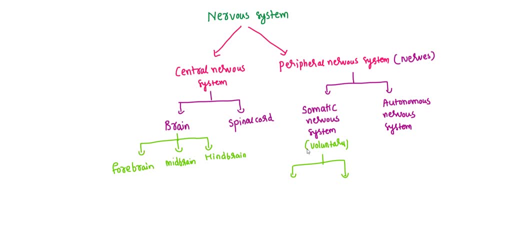 SOLVED: Deugudippung Mnaji - Complete the concept map below with the ...