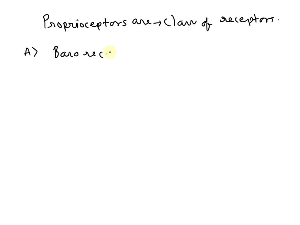 SOLVED: Proprioceptors Are What Class of Receptor? Proprioceptors are ...