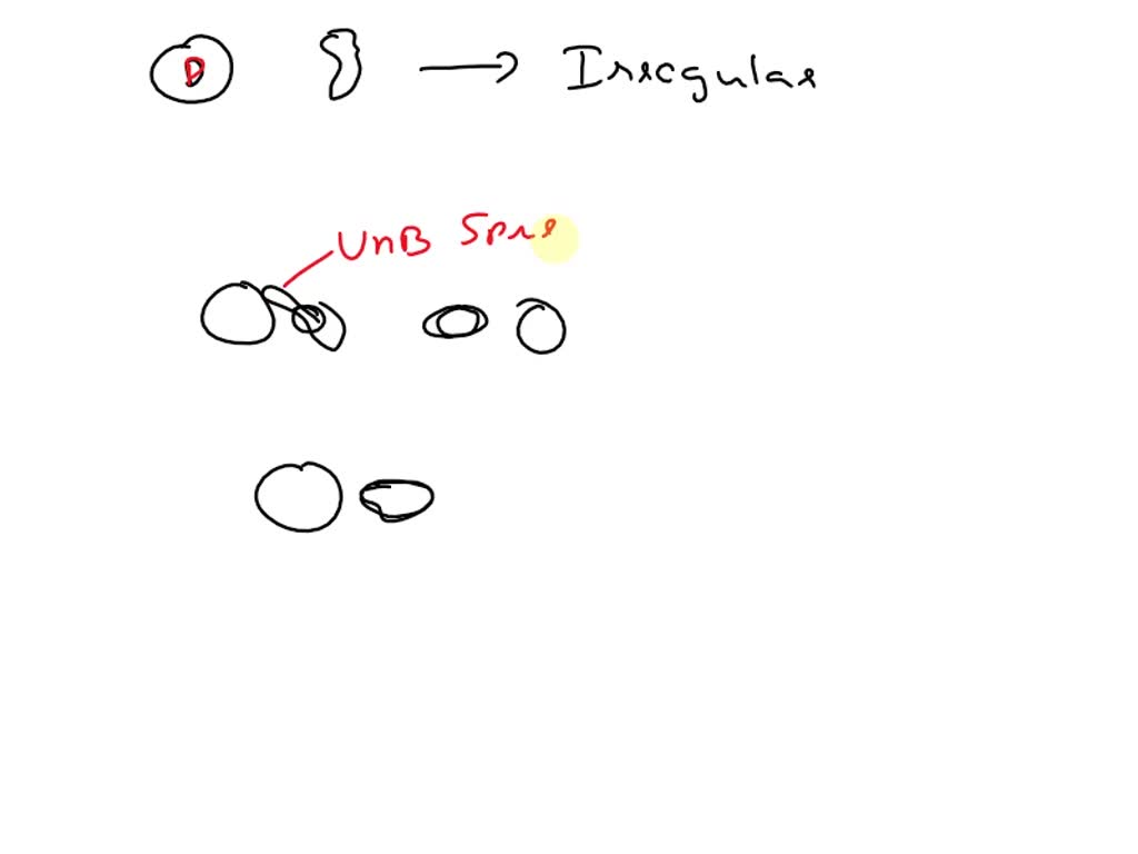SOLVED: Match the galaxy classification on Hubble's tuning fork ...