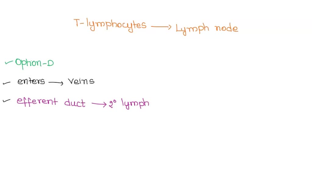 SOLVED: T-lymphocytes leave the blood circulation in which location in ...