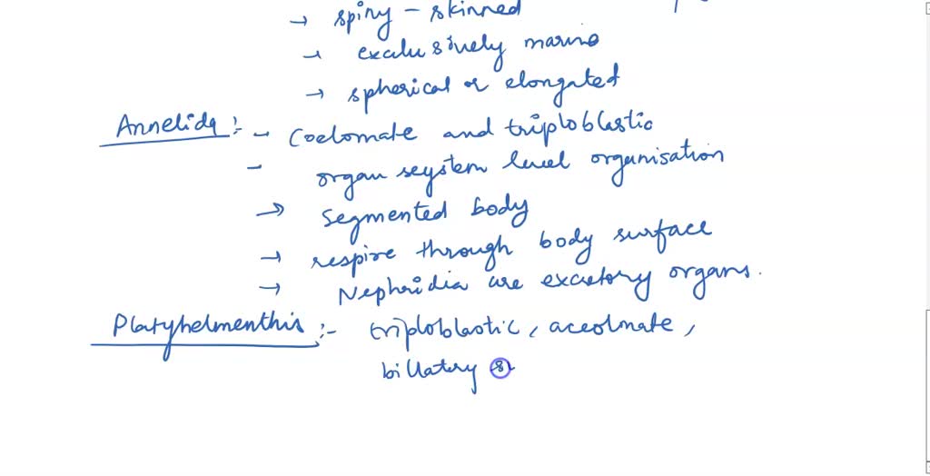 Solved Match The Phylum With Its Characteristic Radial Symmetry Echinoderms Nematodes