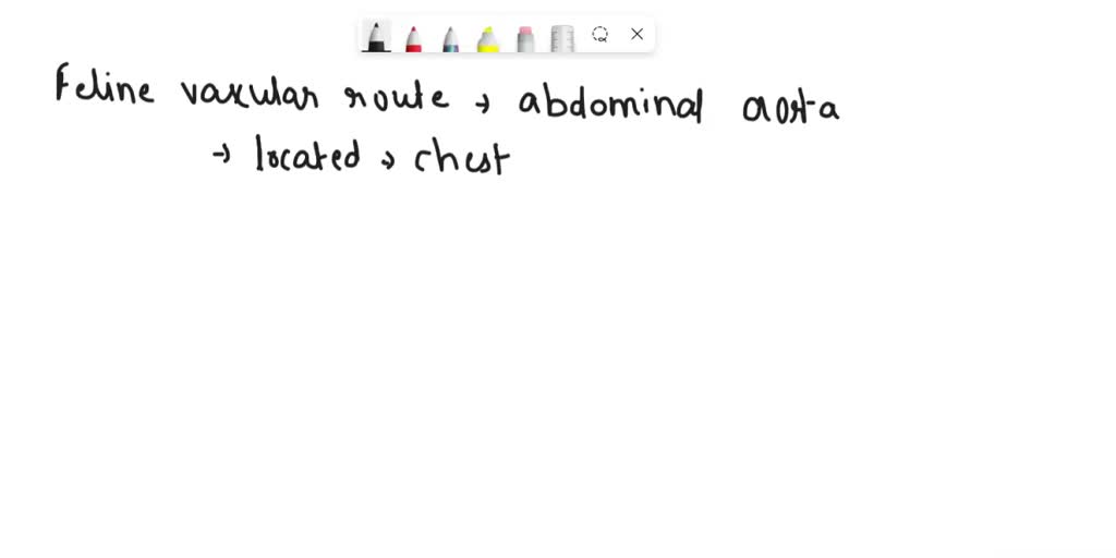 SOLVED: 1. Trace the feline vascular route from the abdominal aorta to ...