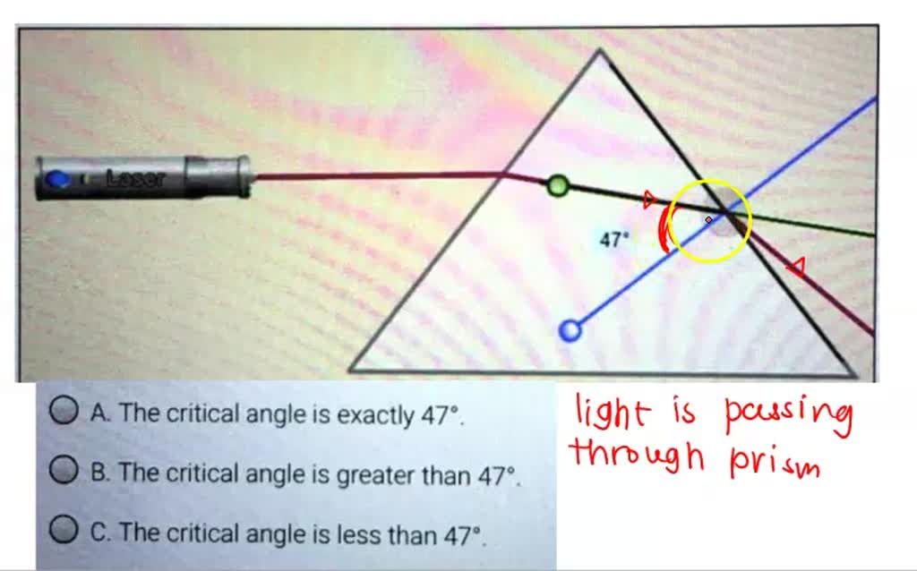 SOLVED: Which of the following statements must be true about this prism ...