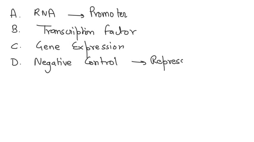 SOLVED: GENE REGULATION VOCABULARY TERM LIST Gene Expression Promoter ...