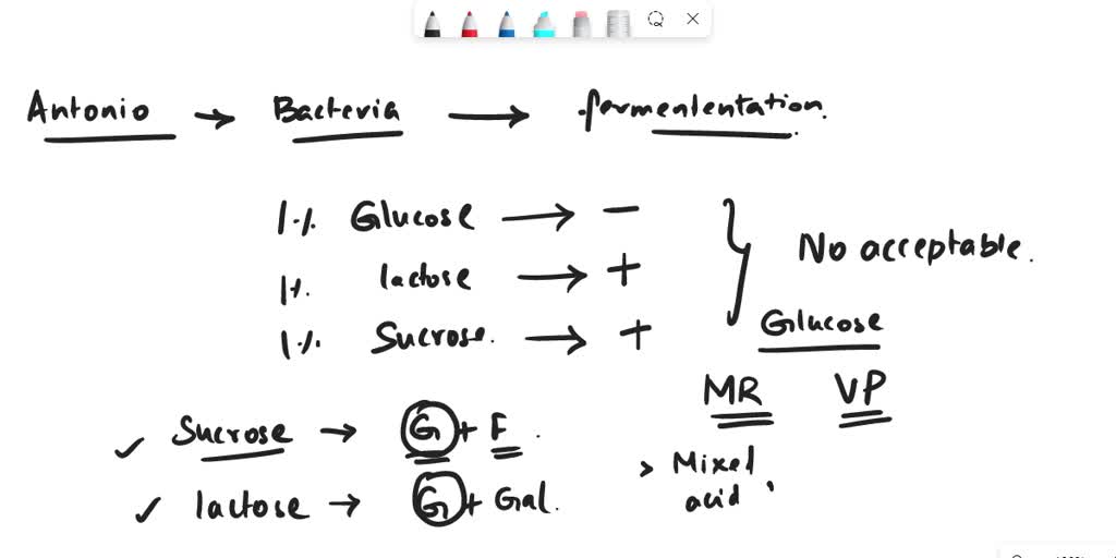 SOLVED: Antonio is working with an unknown bacteria and performs ...