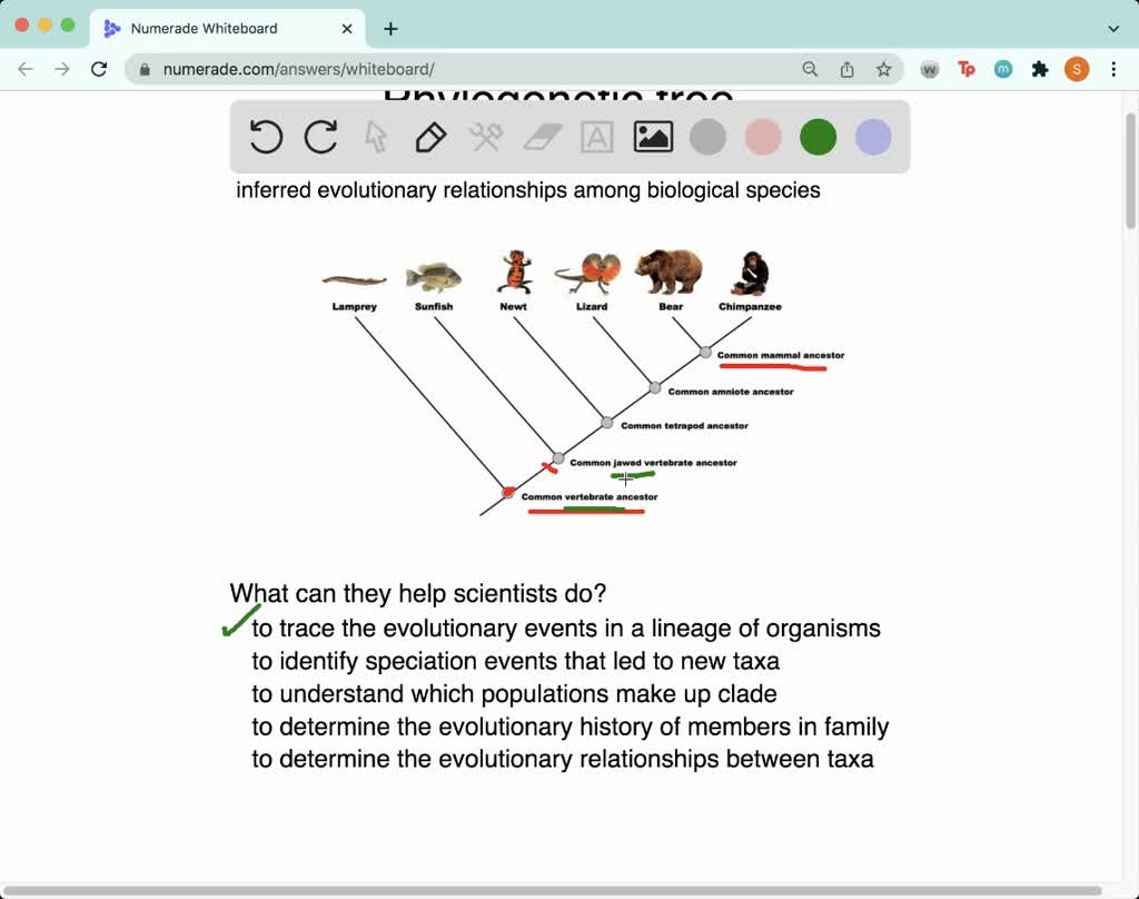 SOLVED: Which statements describe ways in which scientists use ...