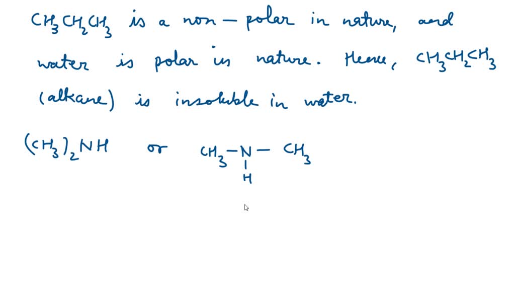 SOLVED: Question 11 (1 point) What is the most likely product of ...