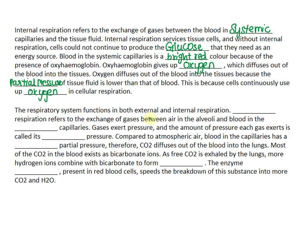 SOLVED: External respiration, internal respiration, and aerobic ...