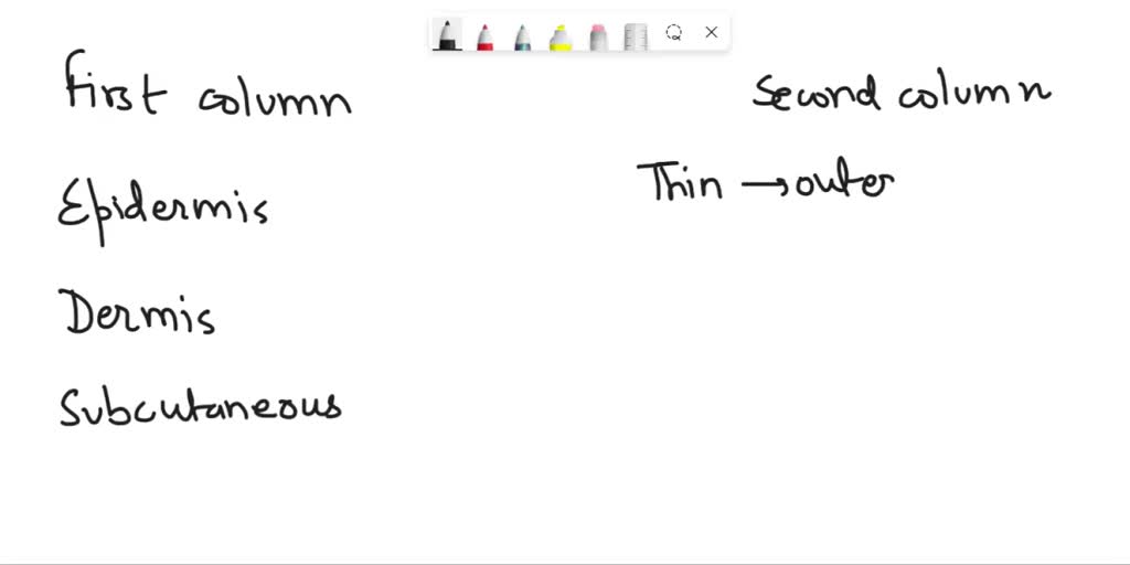 SOLVED: Correctly label each skin layer in the first column of boxes ...