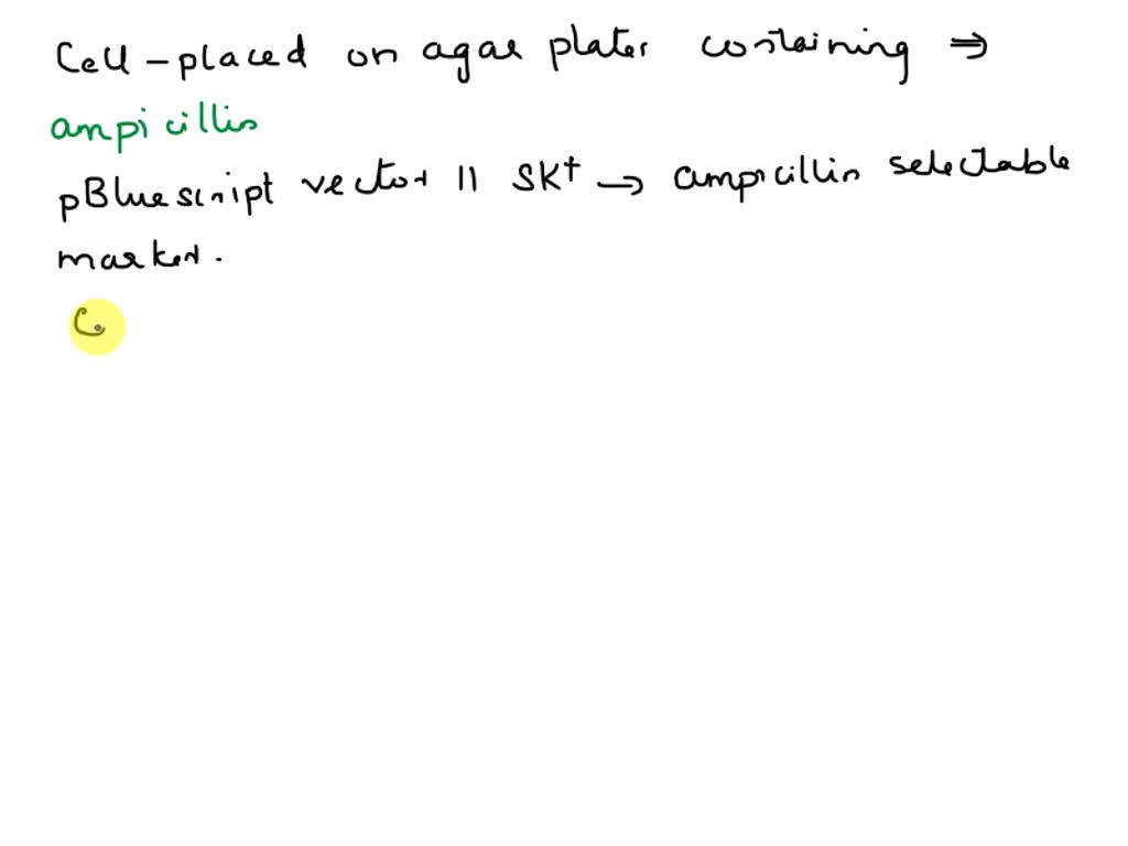 SOLVED: A BamHI restriction fragment has been ligated with the ... SOLVED: A BamHI restriction fragment has been ligated with the ...
