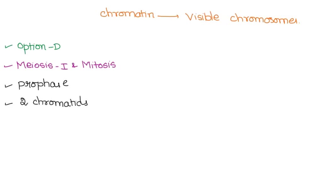 SOLVED: Chromatin condenses into visible chromosomes; the nuclear ...