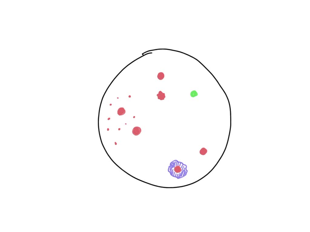 solved-how-many-types-of-microbe-colonies-were-present-on-each-of-the