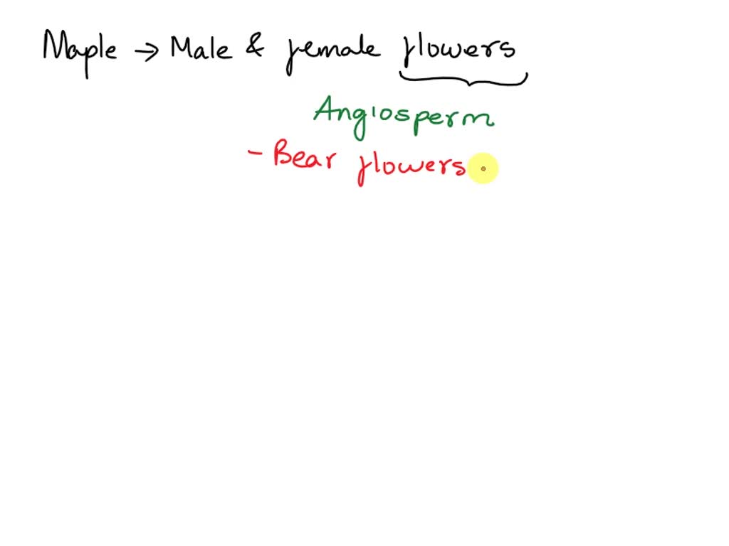 SOLVED: Maple trees and tulips are classified as autotrophs because ...
