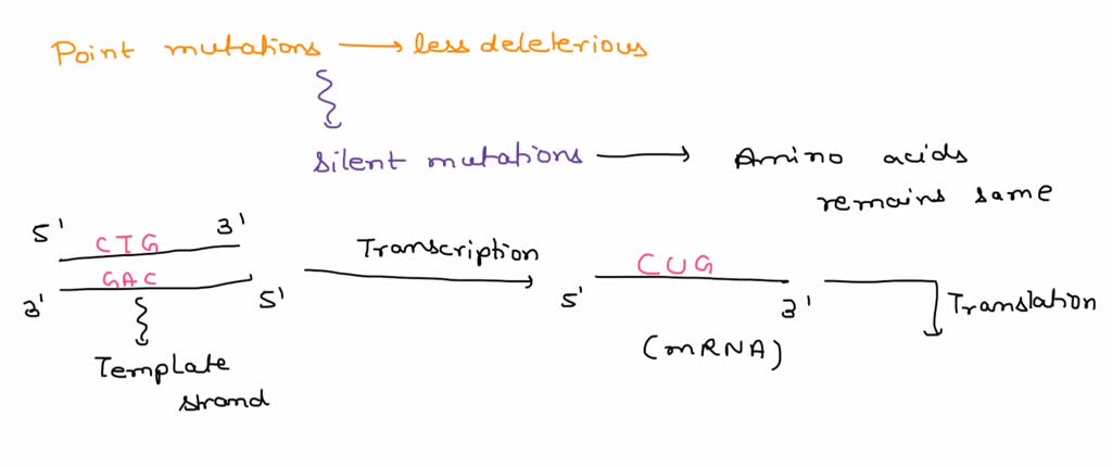 Solved Consider The Codons Specifying The Amino Acids Shown Below For Which One Would A Single